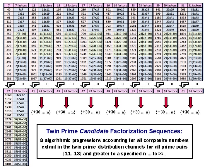Twin Prime Distribution